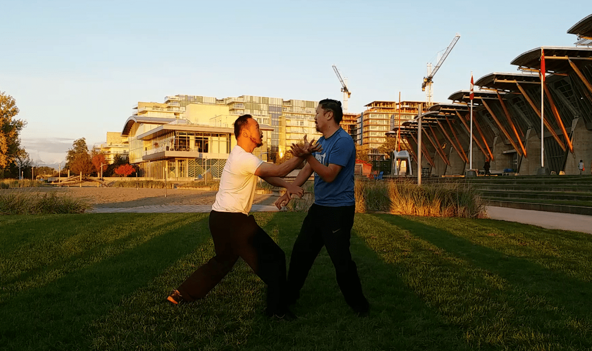 Fanning-Hand 仙手奔 – 螳螂拳紀要 The Art of Mantis